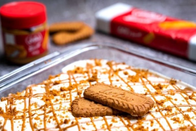 Series: Are Lotus Biscoff Cookies Vegan? - World Vegan Travel