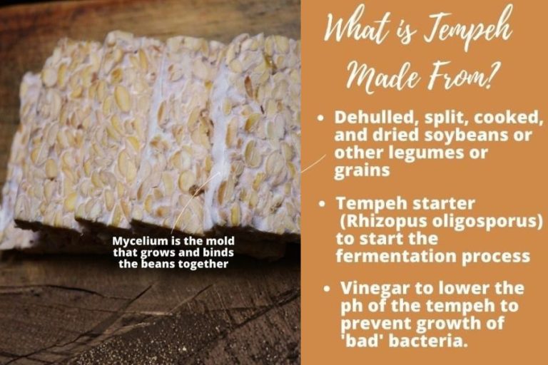 Everything Beginners Need to Know about Tempeh - World Vegan Travel